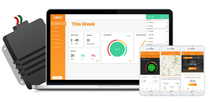 How do I access the dashboard? - Carrot Insurance Services